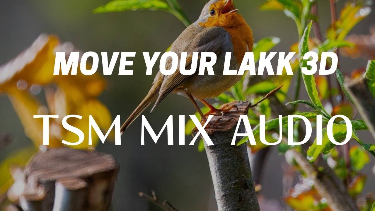 MOVE YOUR LAKK BABY BY TSM 3D AUDIO || USE HEADPHONE🎧 - YouTube