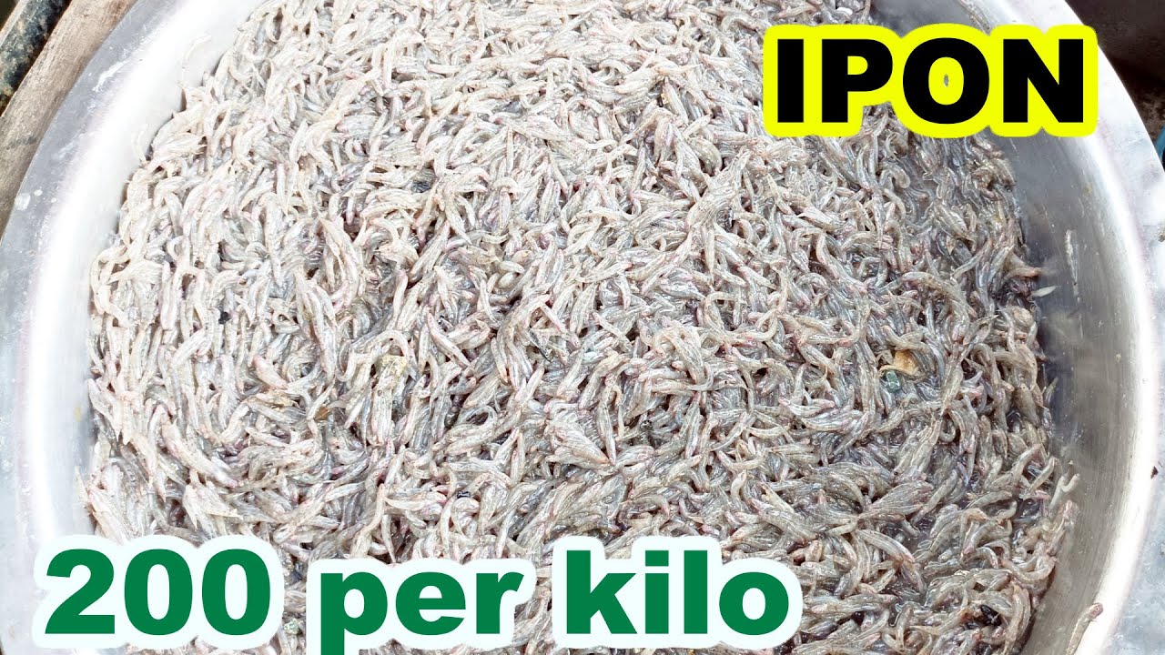 Ipon 200 per kilo - YouTube