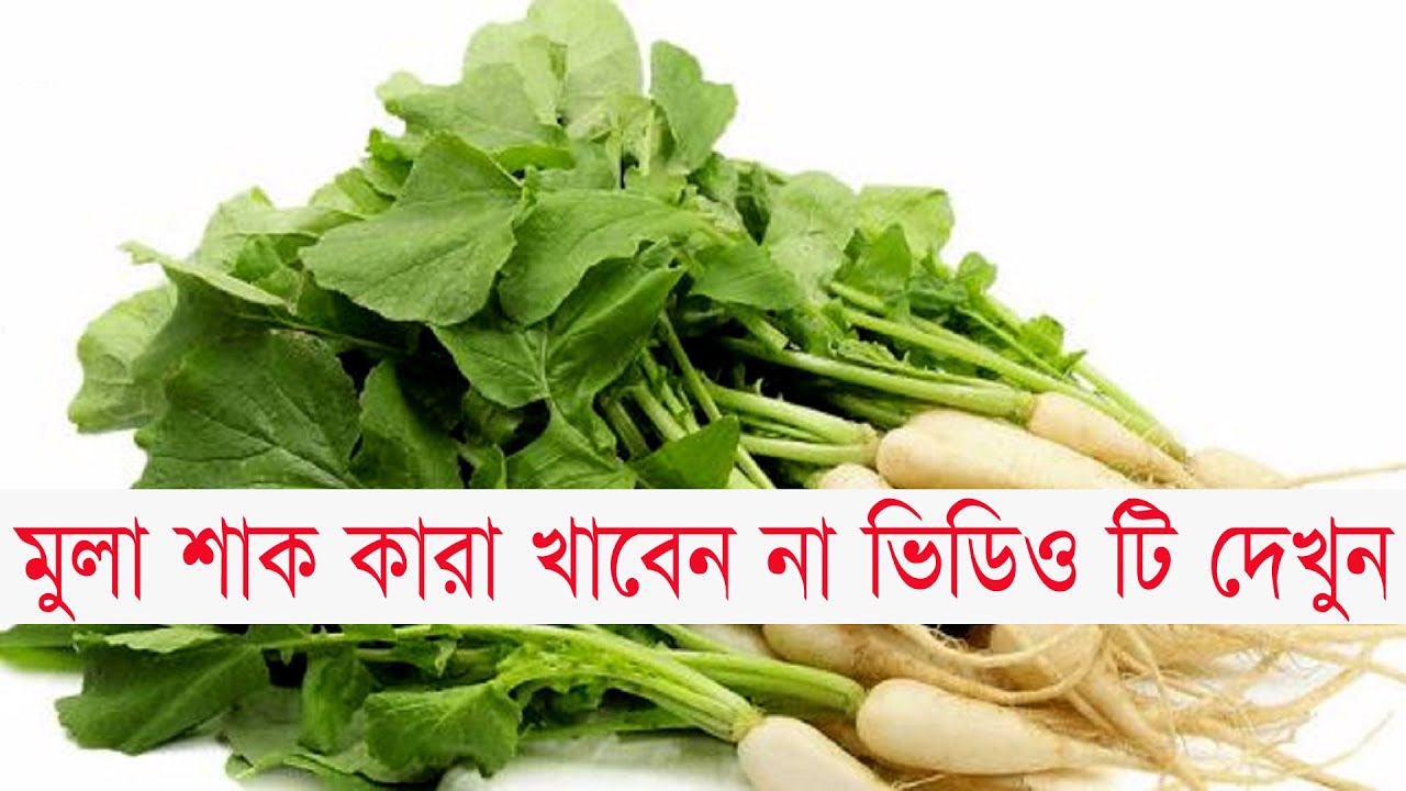 মুলা শাক কারা খাবেন না / মুলা শাকের উপকরিতা ও অপকরিতা/The benefits and ...