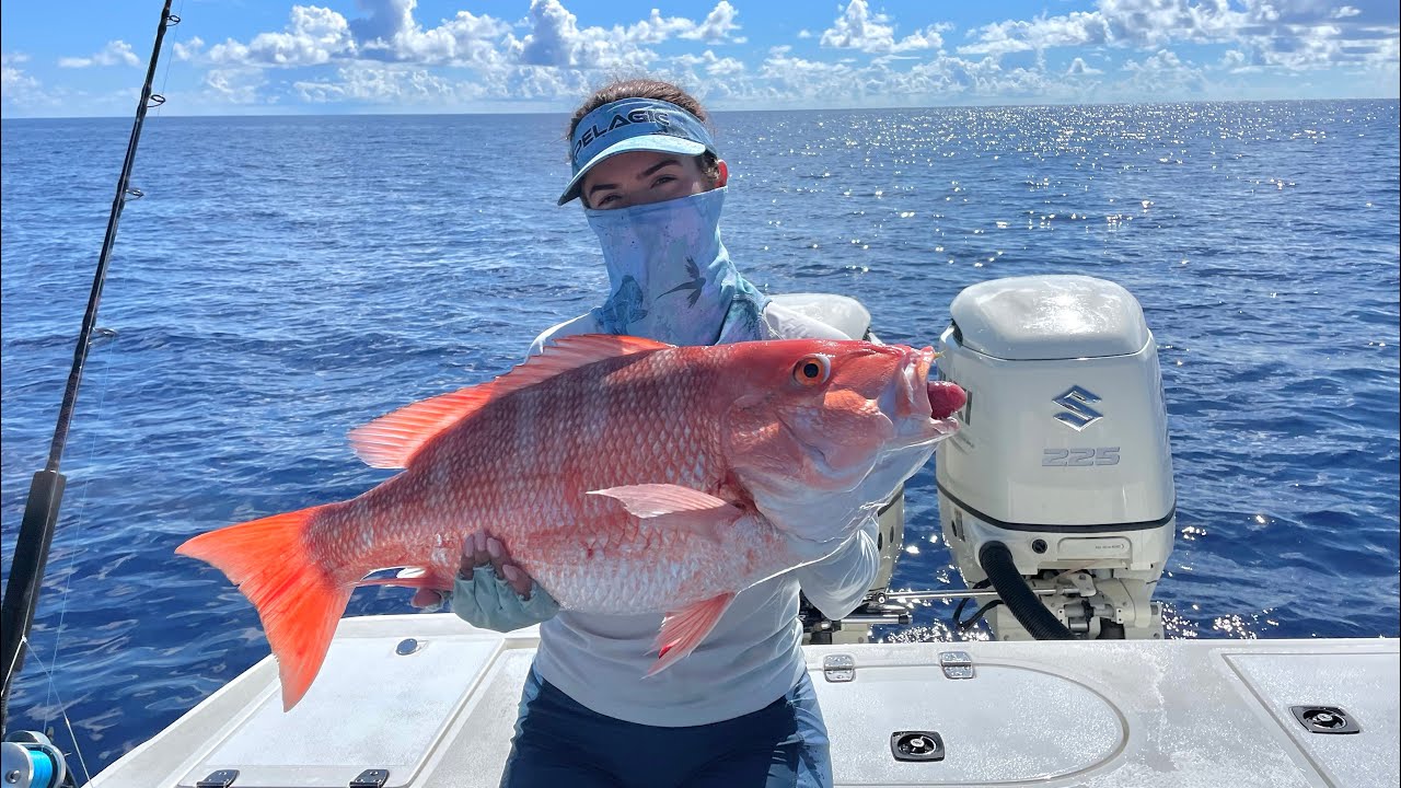 One of our best days offshore | Mahi, Red Snapper & Grouper fishing ...