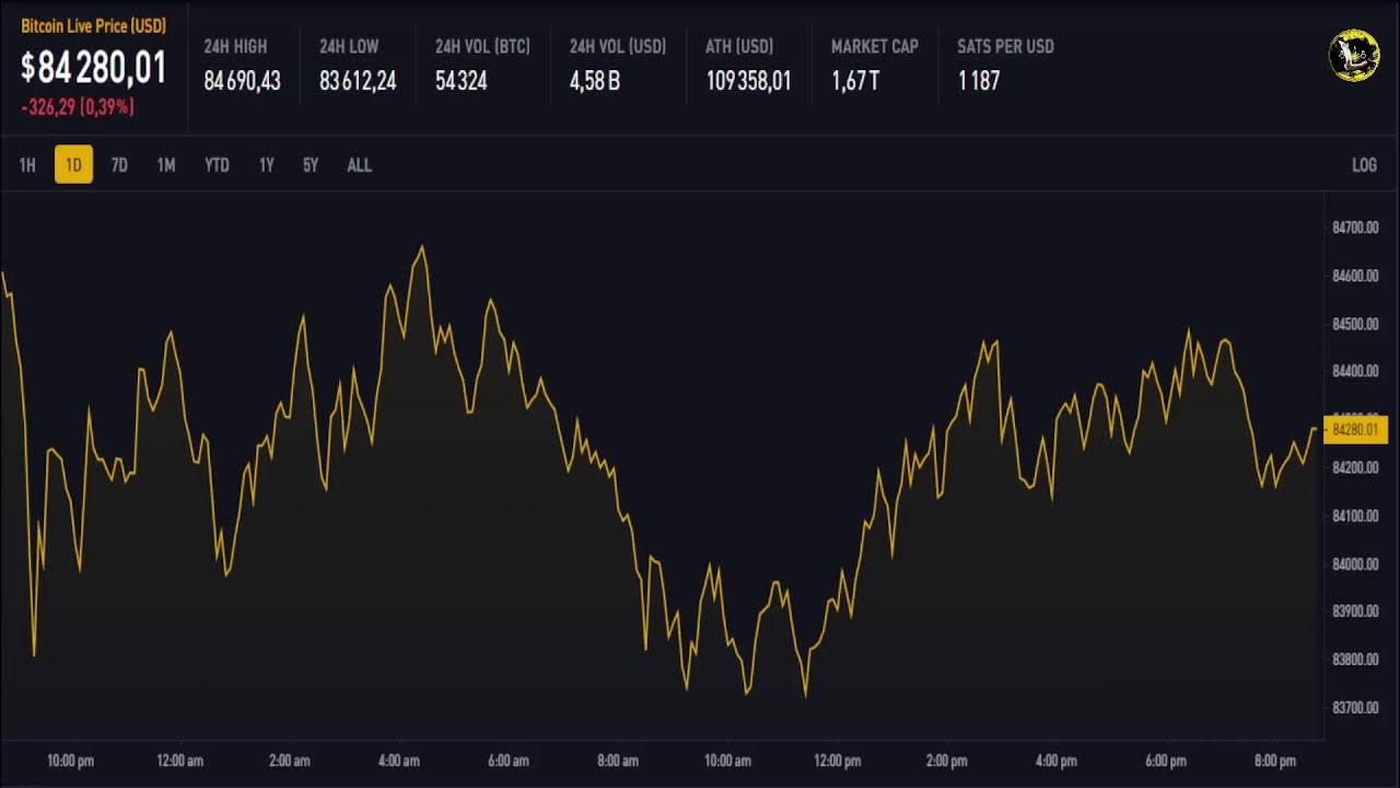 Live Bitcoin Price: Real-Time Signals & Chart - YouTube
