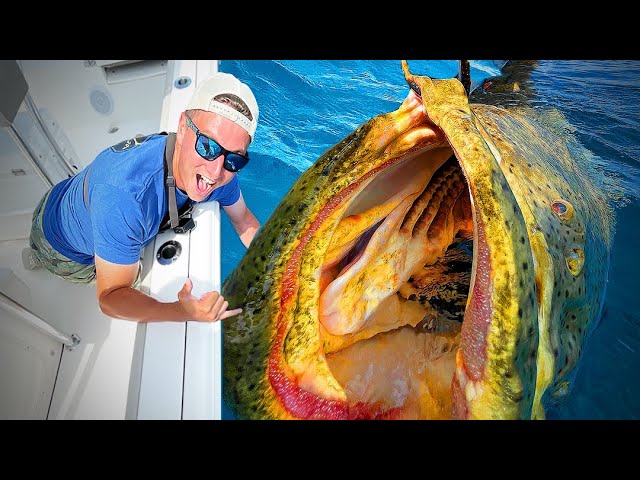 Worlds Most Muscular Fish Thomas Kelly | Pea Szn > I Don't Think There