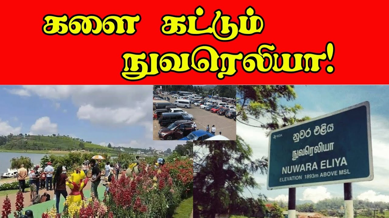 களை கட்டும் நுவரெலியா! | UTHAYAN TV | #nuwareliya - YouTube