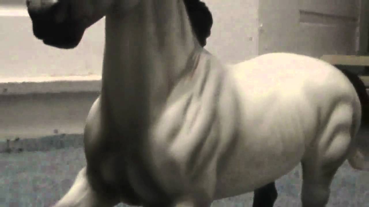 Phantom of the Opera ~ Trailer ~ Breyer Horse Movie - YouTube
