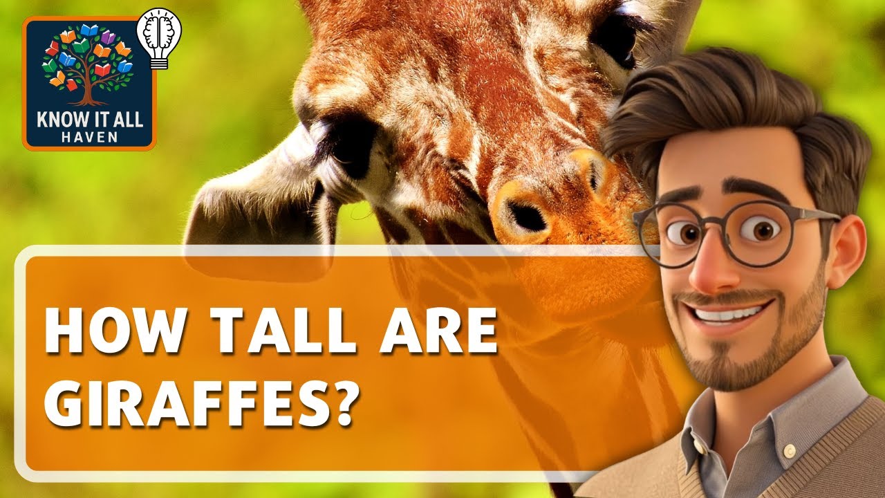 How Tall Are Giraffes? | Giraffe Height Facts, Records & Amazing ...