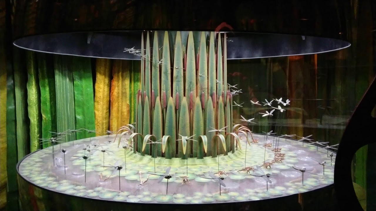 Weird and Strange Moving Dragonfly Display - YouTube