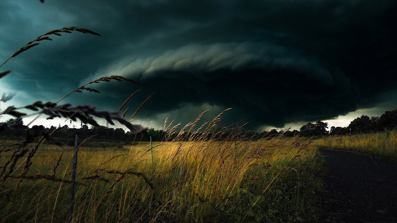 Summer Thunderstorm in Windy Field | Gentle Rain & Thunder Ambience ...