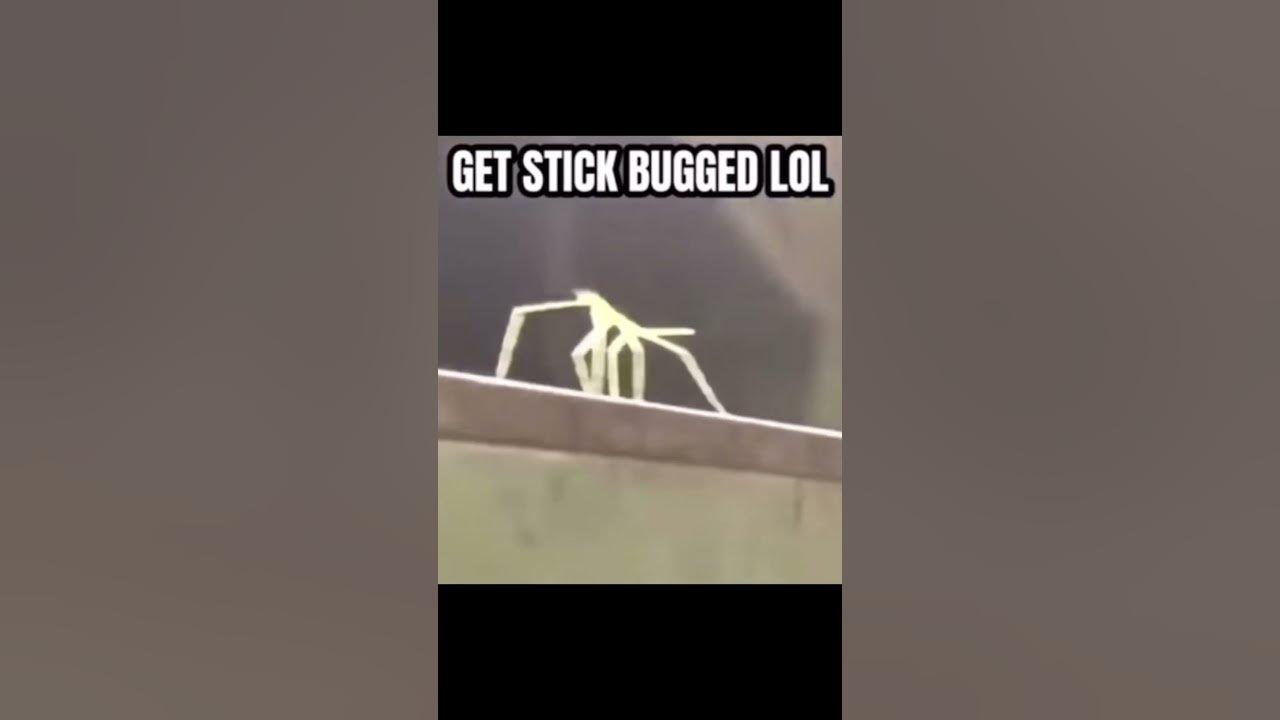 Get stuck bugged Lol - YouTube