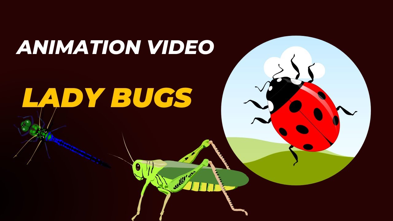 Lady bugs animation video - YouTube