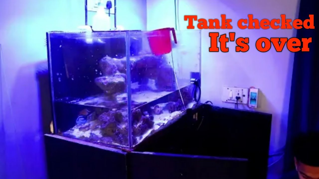 marine tank Cracked - YouTube