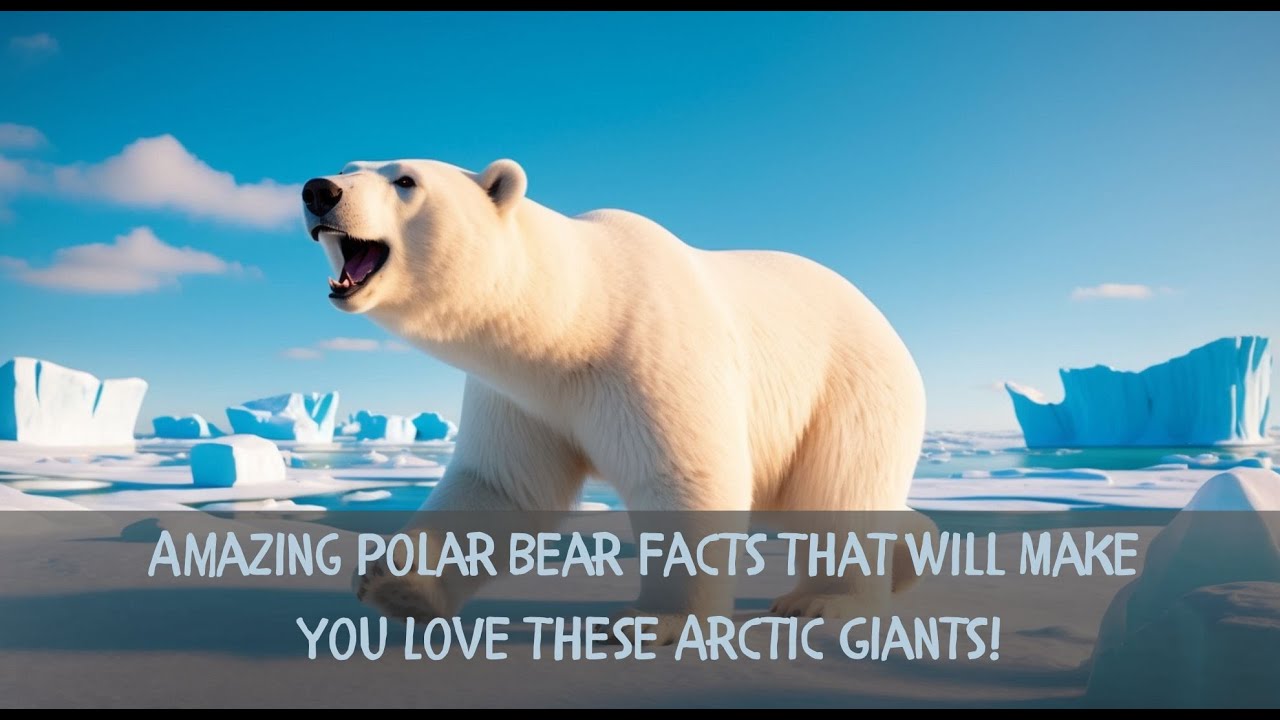 How Do Polar Bears Stay Warm in the Cold? Discover 10 Fun Facts! - YouTube