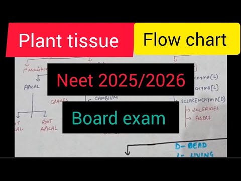 plant tissue flow chart/ neet 2025/2026|board exam#neet #pwneet# ...