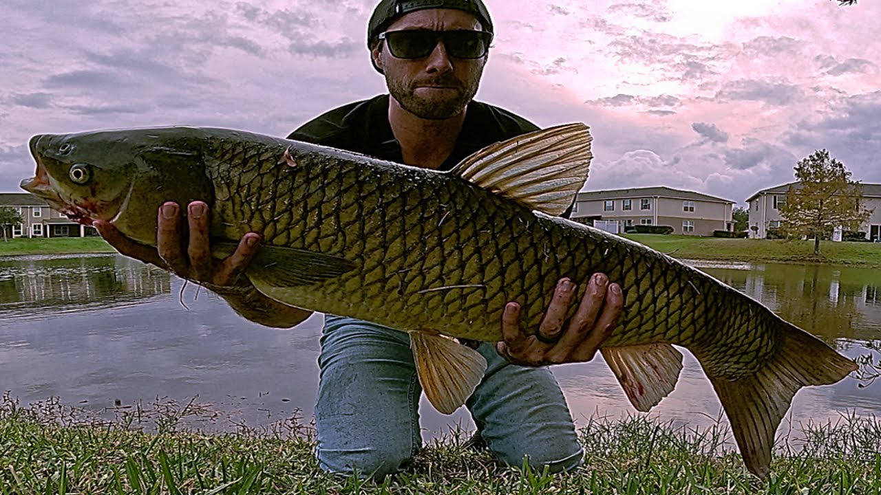 BIGGEST Carp I Have Ever Caught! - YouTube