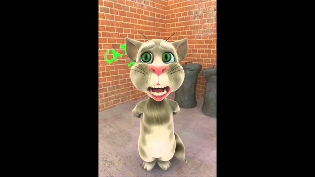 Talking Tom I got a feeling HD - YouTube