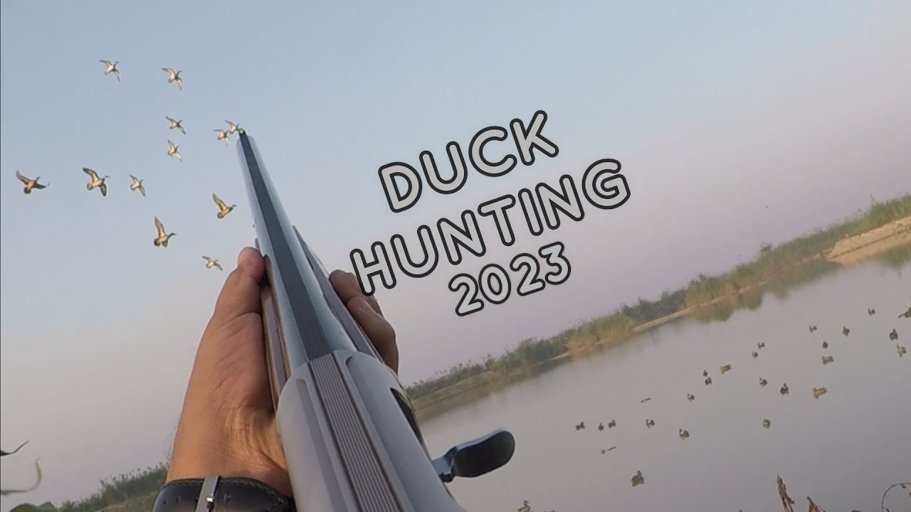 Duck Hunting in Pakistan | Migratory Birds Hunting l 13 - YouTube