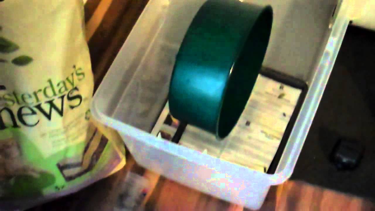 Plastic Tote Cage for Hedgehog Pet - DIY Setup - YouTube