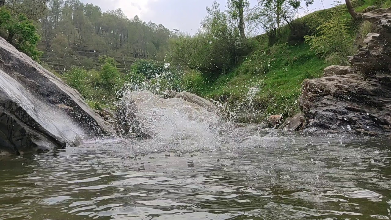 Summer Holidays with bath in natural pond - YouTube