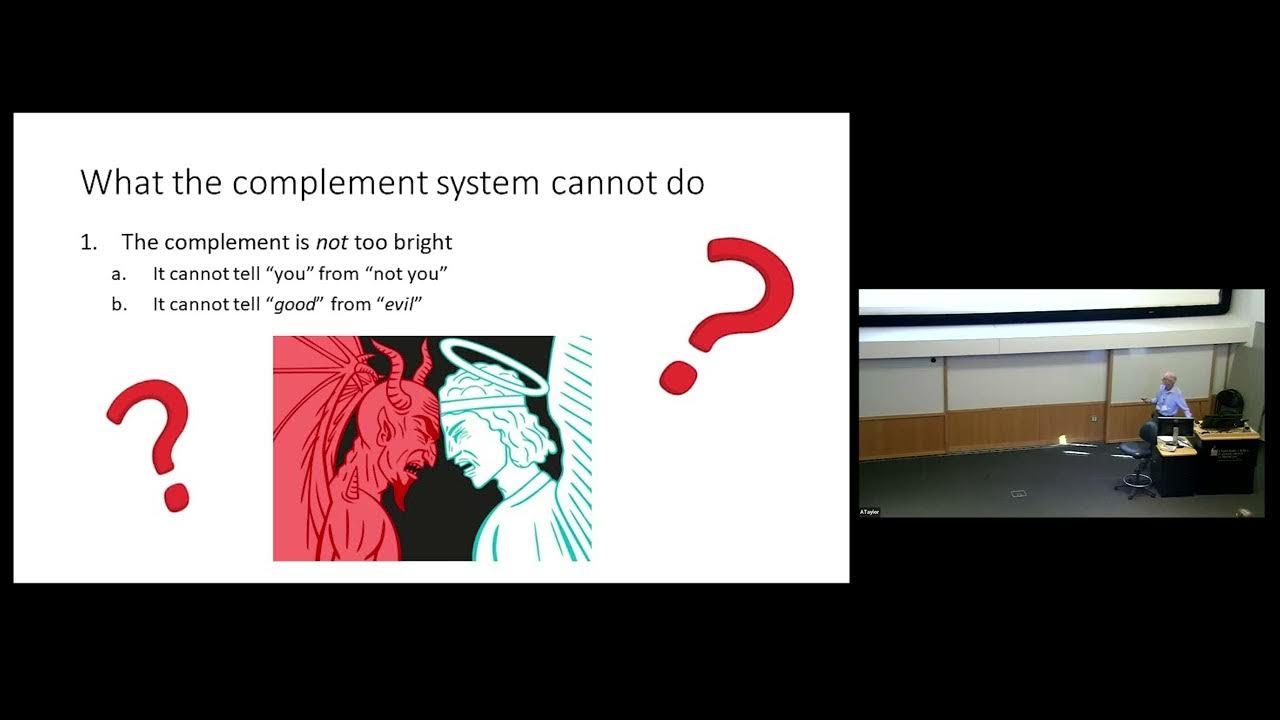 2024 C3G Family Conference - The Basis of C3G: The Kidney Complement System - YouTube