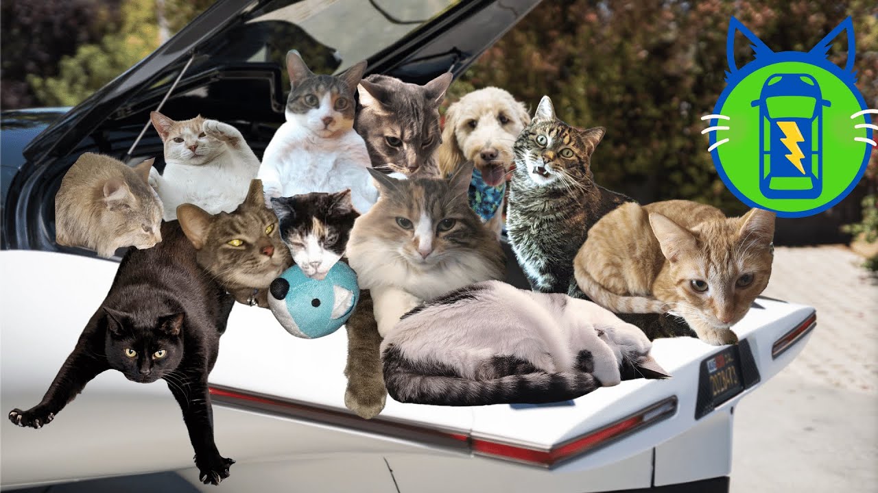 Aptera - The Pet Lovers EV Also a Map Update! - YouTube