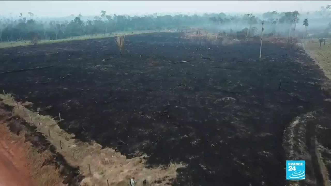 Amazon Fires: How did it start? - YouTube