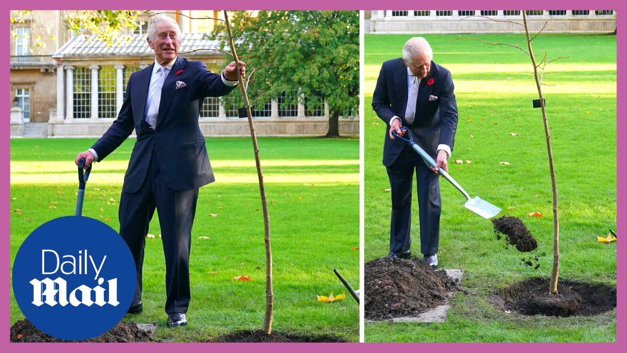 King Charles III plants tree at Buckingham Palace ahead of COP27 - YouTube