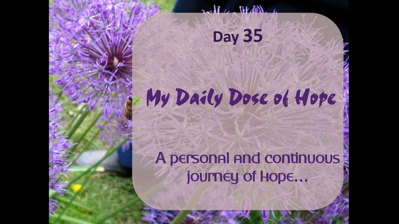 MY DAILY DOSE OF HOPE - Week 5, Day 35 - YouTube