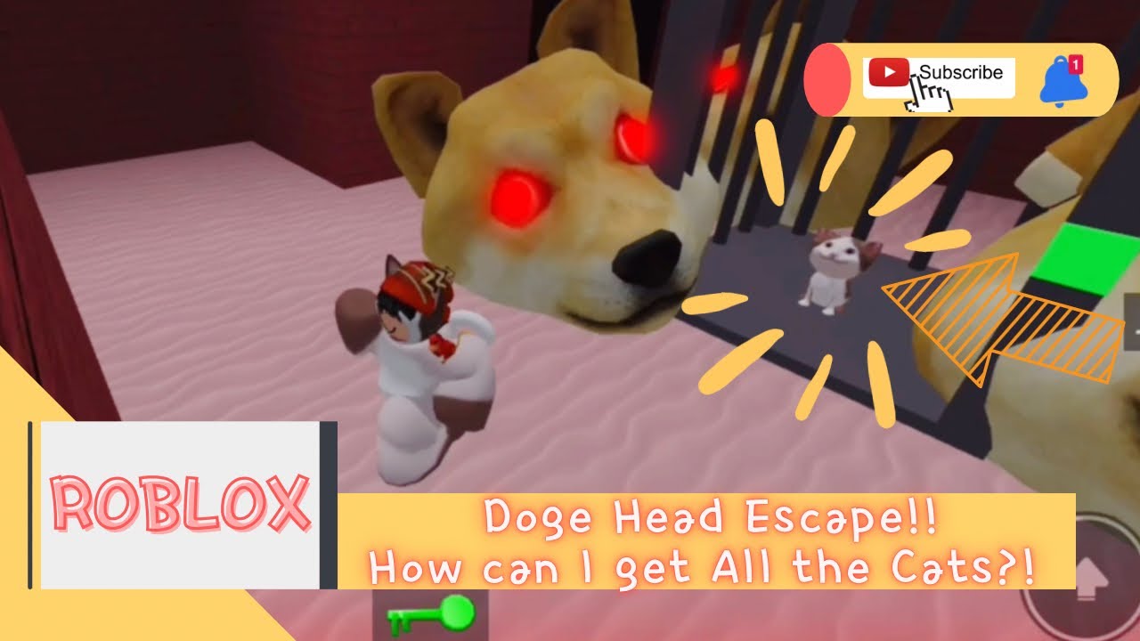 Roblox Doge Head Escape! How can I get All the Cats?! #roblox #game ...