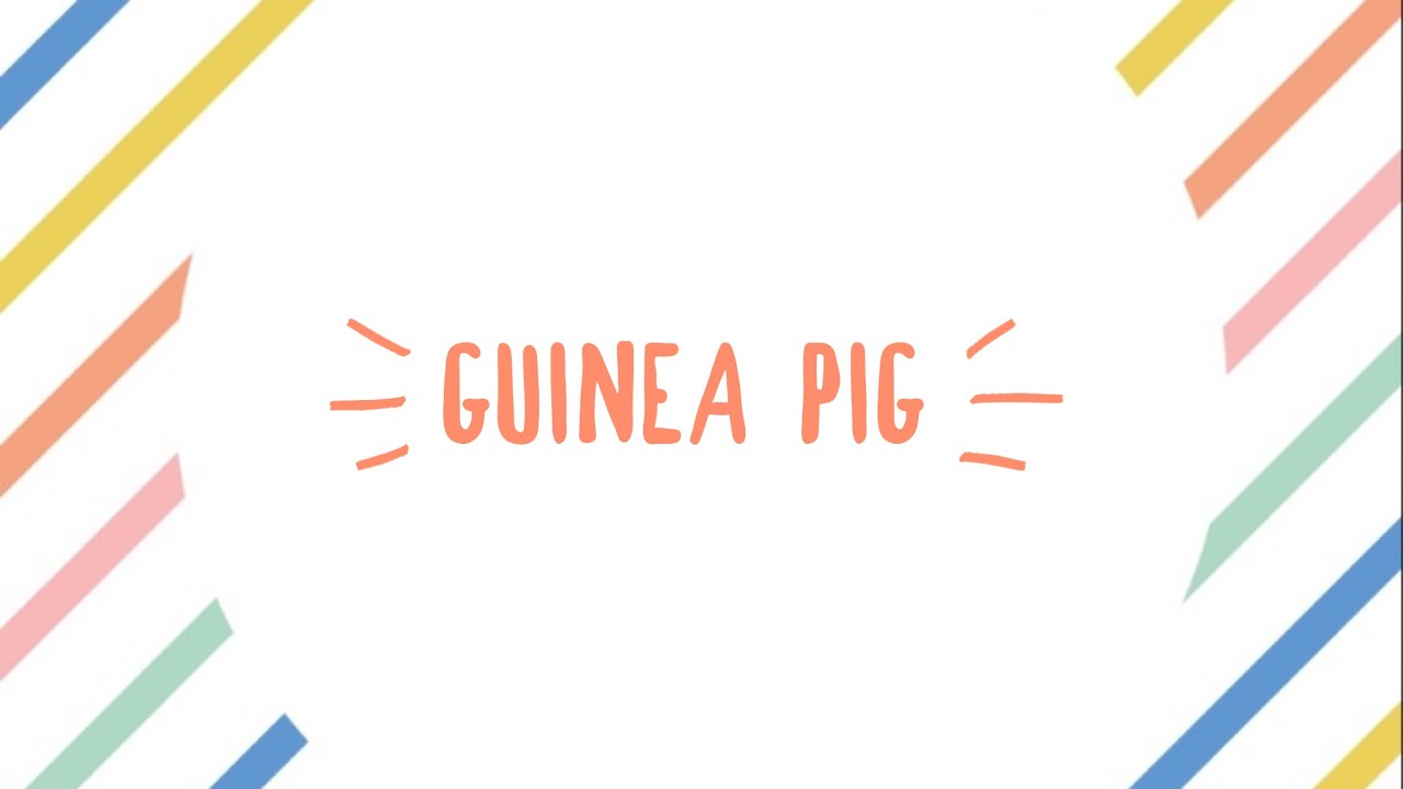 How to sign ‘GUINEA PIG’ in baby sign language - YouTube