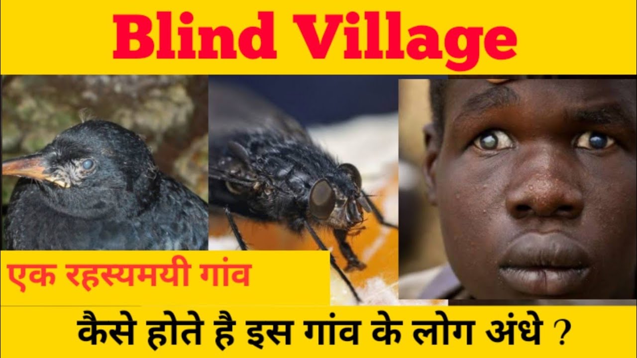 Tiltepec the Blind Village || One of the Most Unique and Mysterious ...