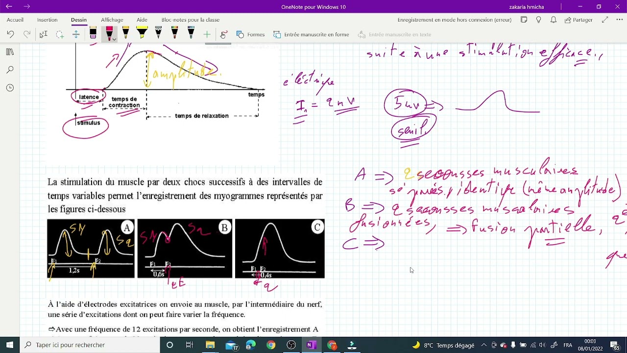 secousse musculaire et les myogrammes ( révision pour le contrôle ...