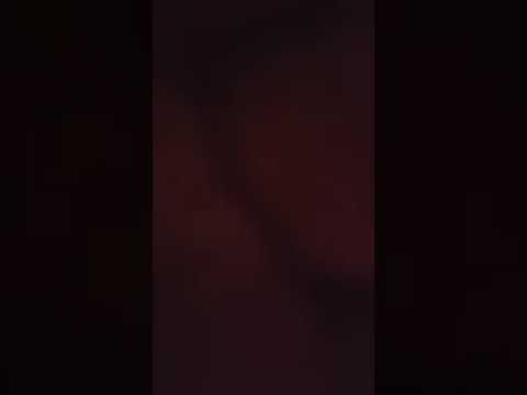 Faceboook Türkü Ilter 2