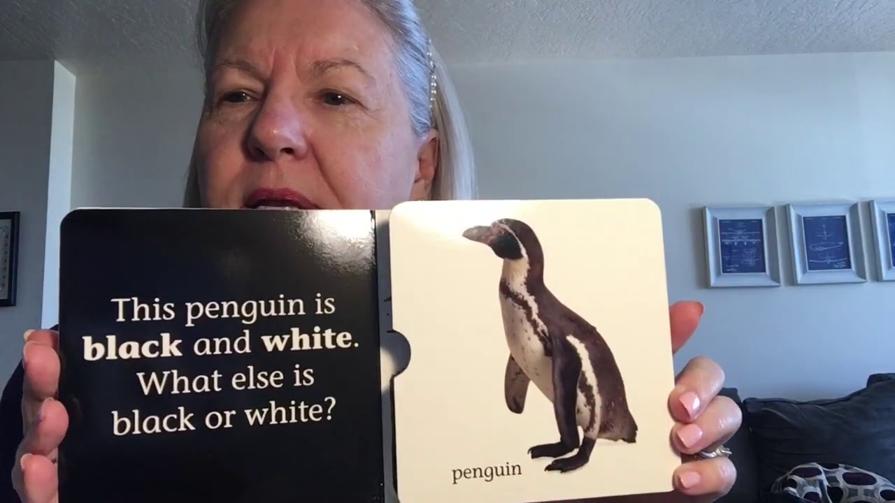 OUR COLORFUL WORLD read by Grandma SKEMBO - YouTube