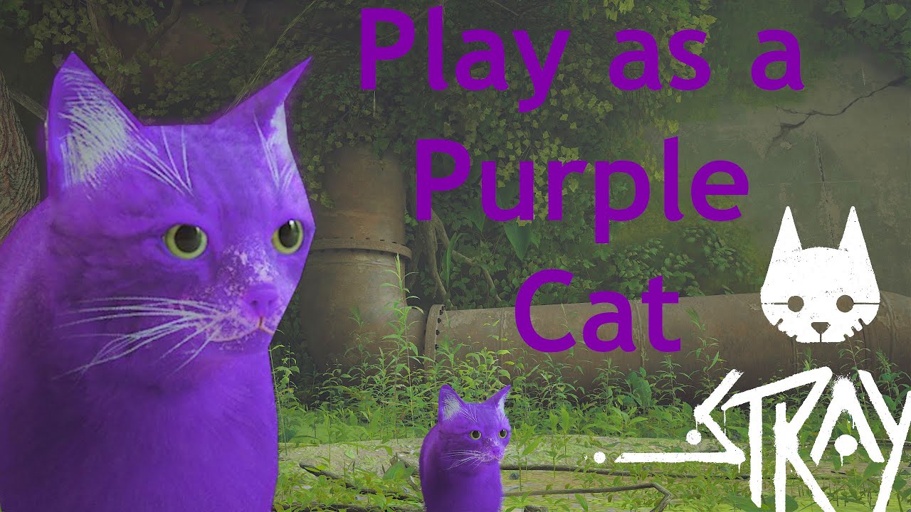 Stray the Purple Cat Mod (by NorskPL), play as a Purple Cat - YouTube