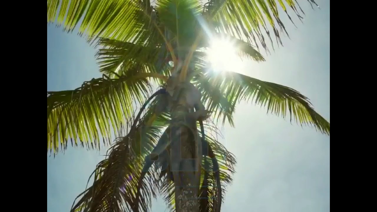 Blu on the Water in Exuma, Bahamas - YouTube