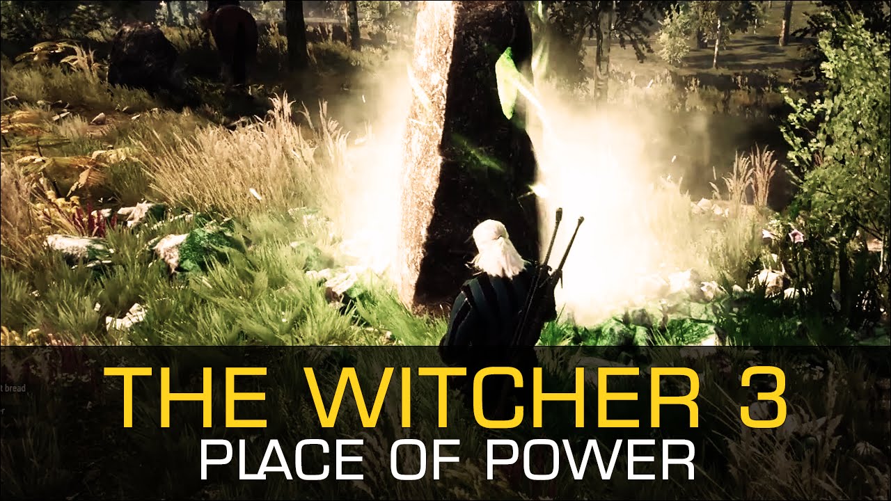 Place of Power WRAITH MONSTER ABILITY POINT NOVIGRAD VELEN - The ...