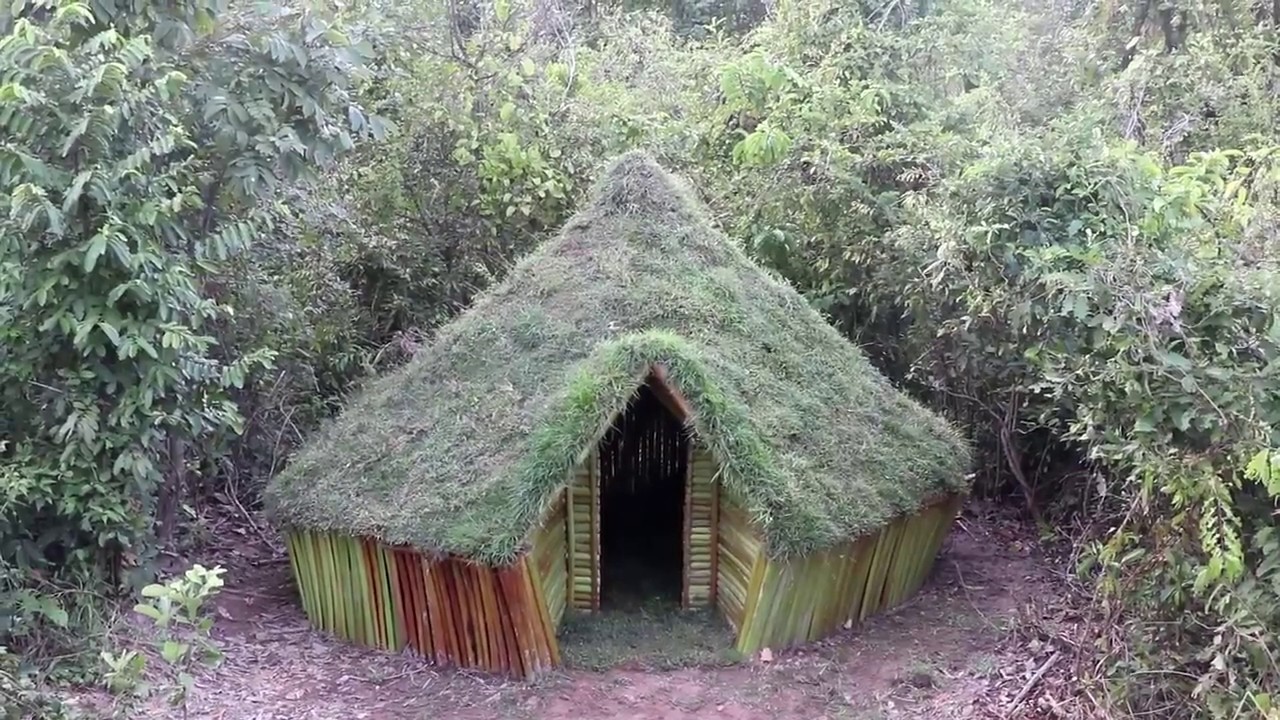 House in jungle made with bamboo tree - survival in jungle - YouTube