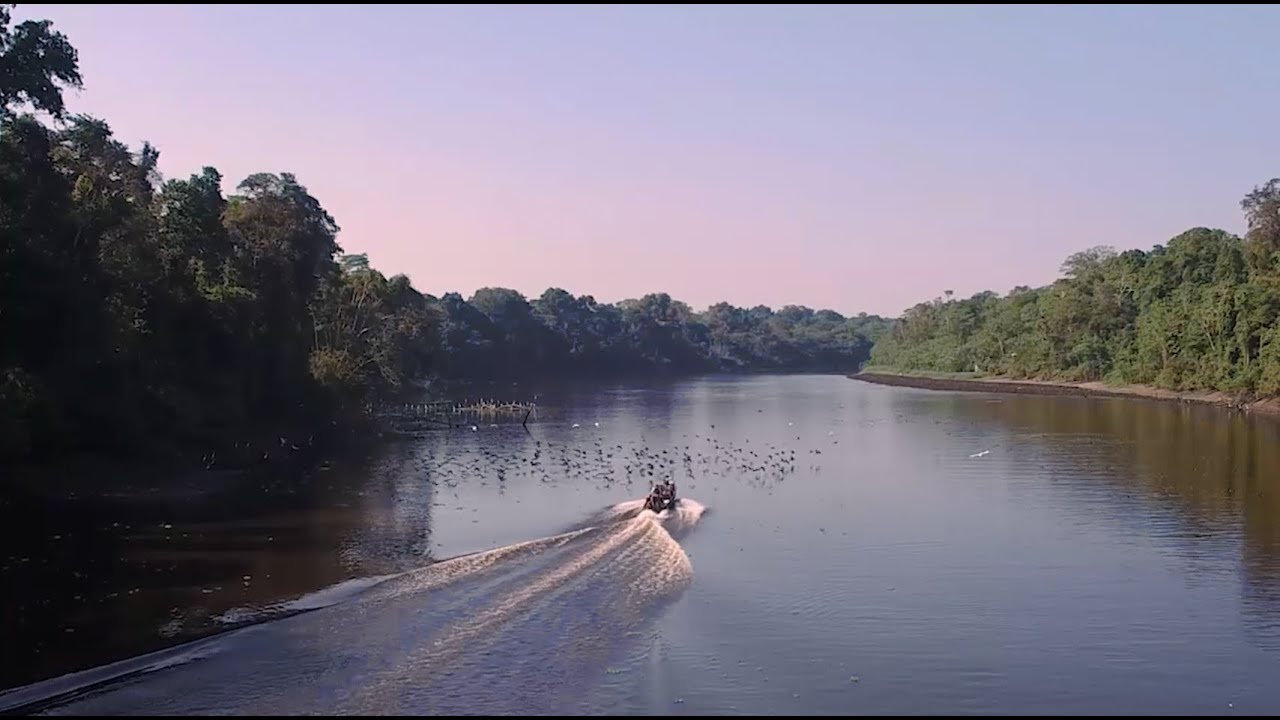 AMO EL RÍO. - YouTube