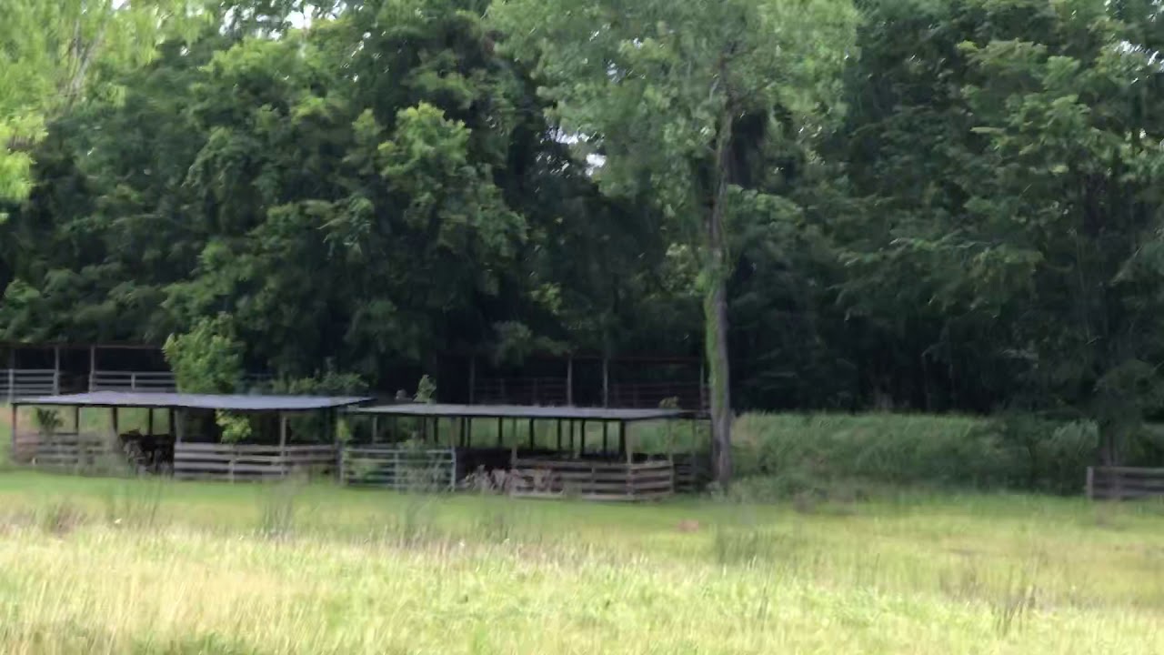 St Stephens Historical Park tour #4 In St Stephens Alabama - YouTube