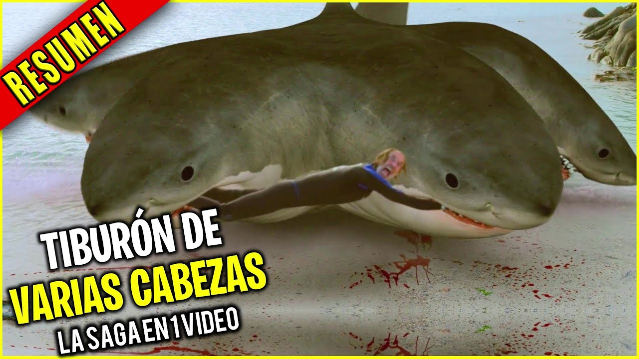 👉 resumen : TIBURÓN CON MUCHAS CABEZAS - La Saga en 30 minutos | Ahora ...