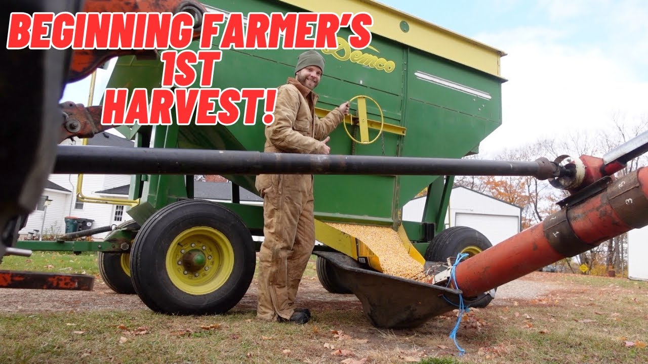 Beginning Farmer Harvests For The First Time! - YouTube