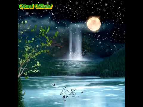 💫WhatsApp üçün qısa status video 2023💫Sevgi,romantik,aşk videoları 2023🎶SoundaApp video 2023.Bağışla