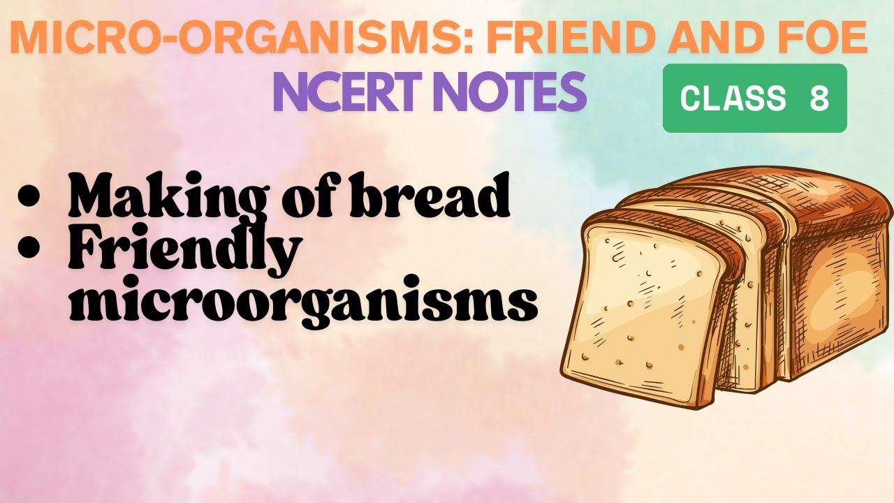 Microorganisms In Bread