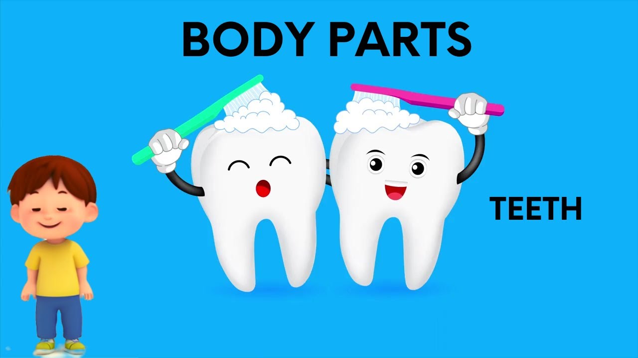 Parts of our body | Learn Parts of the Body | Parts of our Body | Body ...