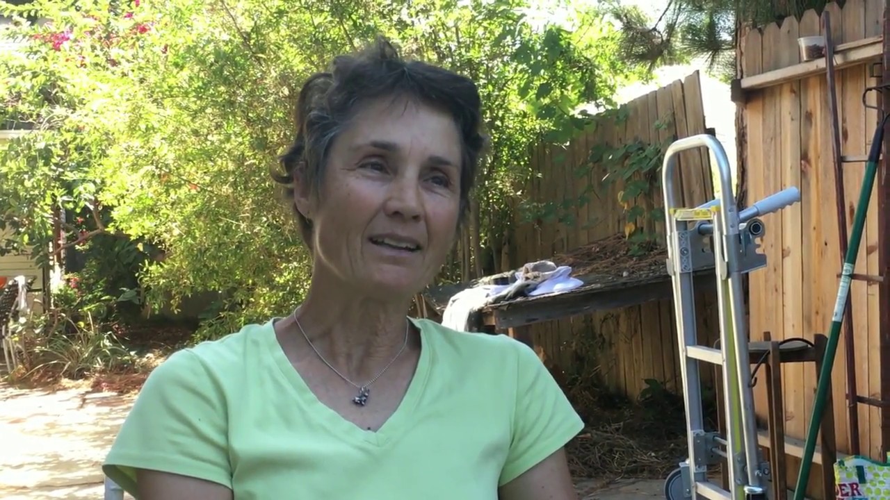 Interview with Bee Keeper Susan Rudnicki - YouTube