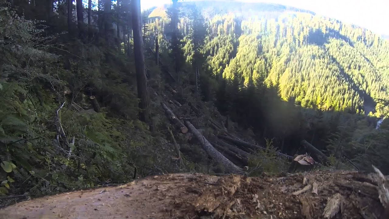 Danger Tree Blasting - YouTube