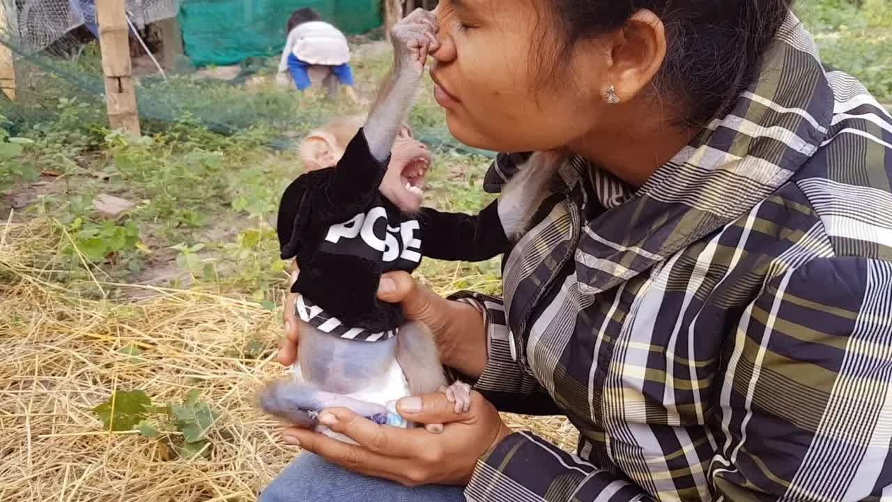 Baby KOKO Is Satisfying Playing At Outdoor In Early Morning - YouTube