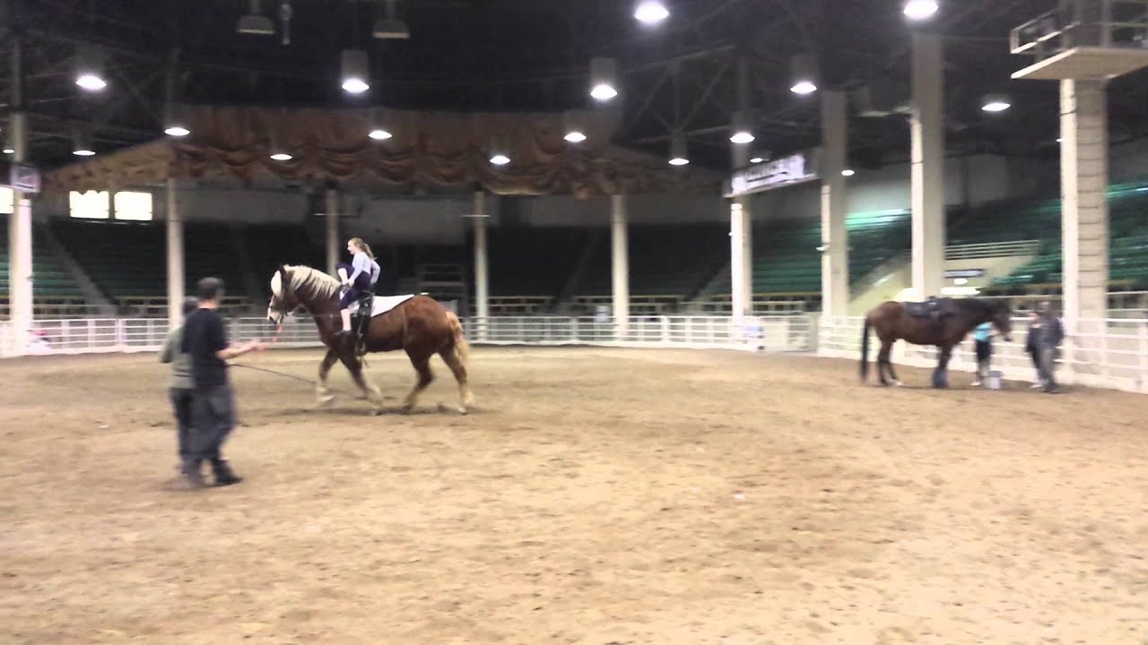 Ana Schult @ Christoph Lensing Clinic Denver March 2014 - YouTube