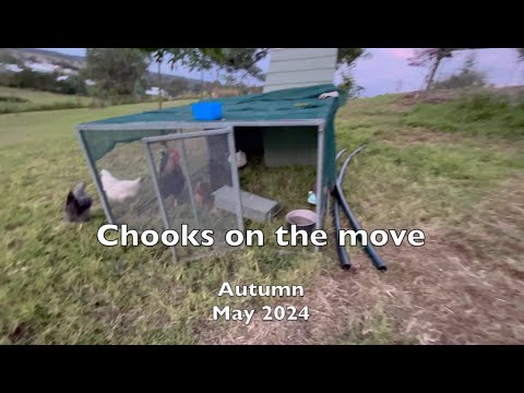 Chooks on the Move - YouTube