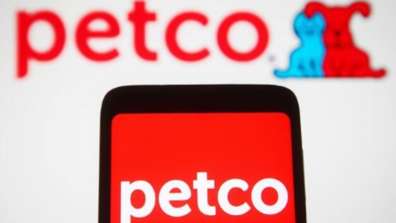Petco stock soars as Q4 revenue beats estimates - YouTube