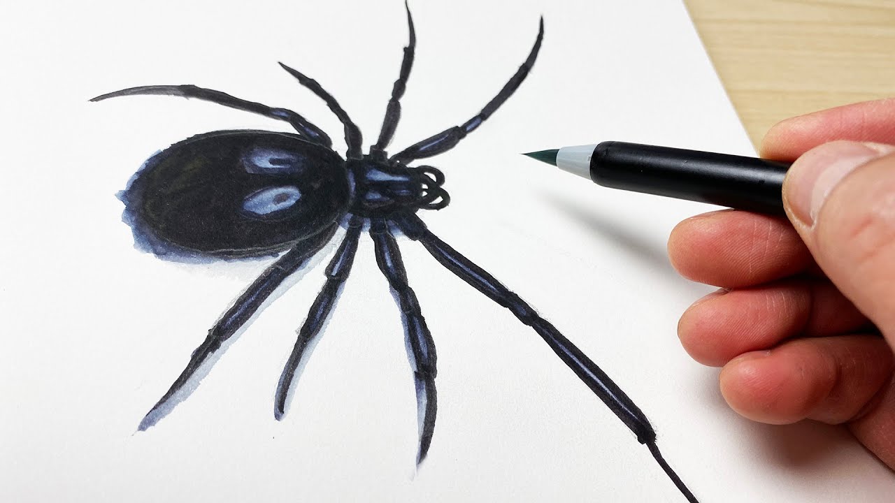 Easy and Fun Drawing of a Scary Spider - YouTube